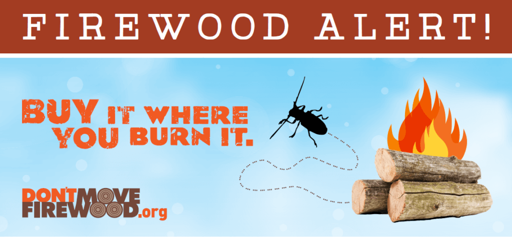 Free Downloads for Tree Check Month 2022 - Don't Move Firewood