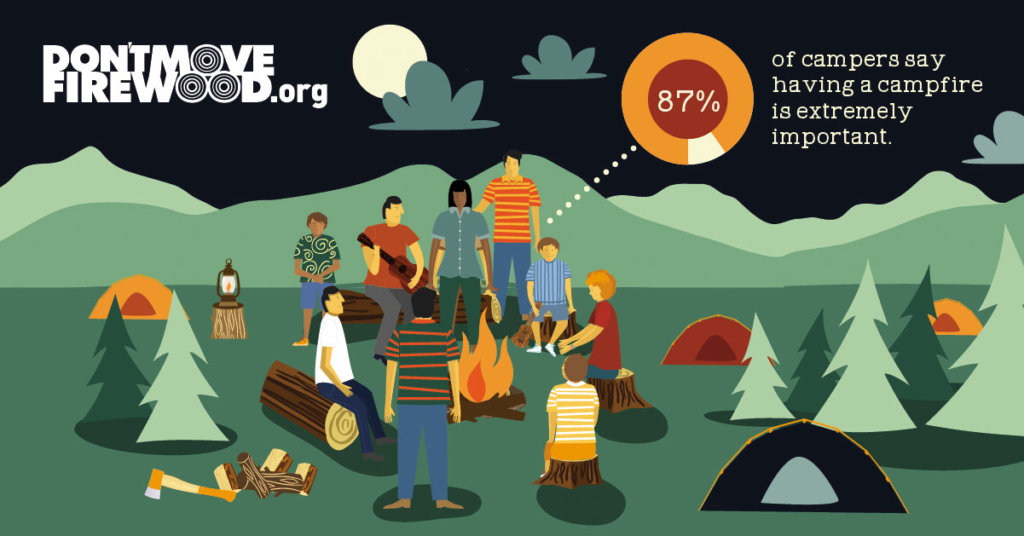 Infographic Snippet, 87 percent of campers 2018 - Don't Move Firewood