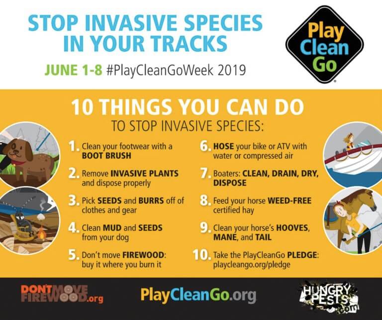 PlayCleanGo Week 2019 Top Ten - Don't Move Firewood