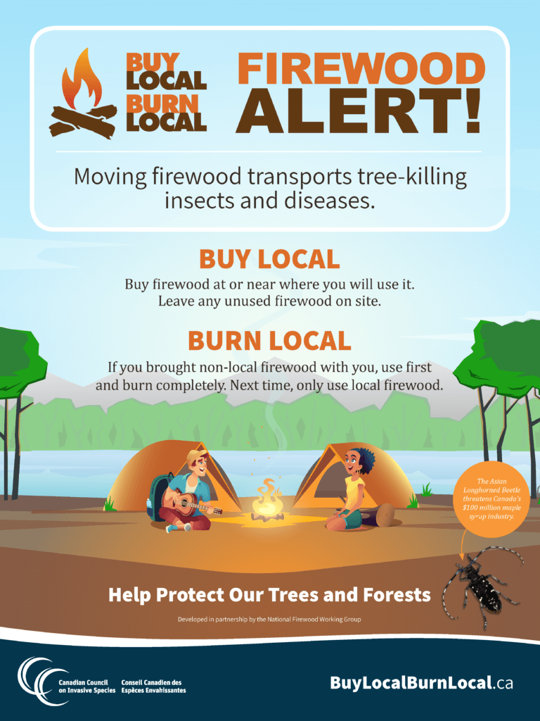 Buy Local Burn Local Campsite Poster - Don't Move Firewood