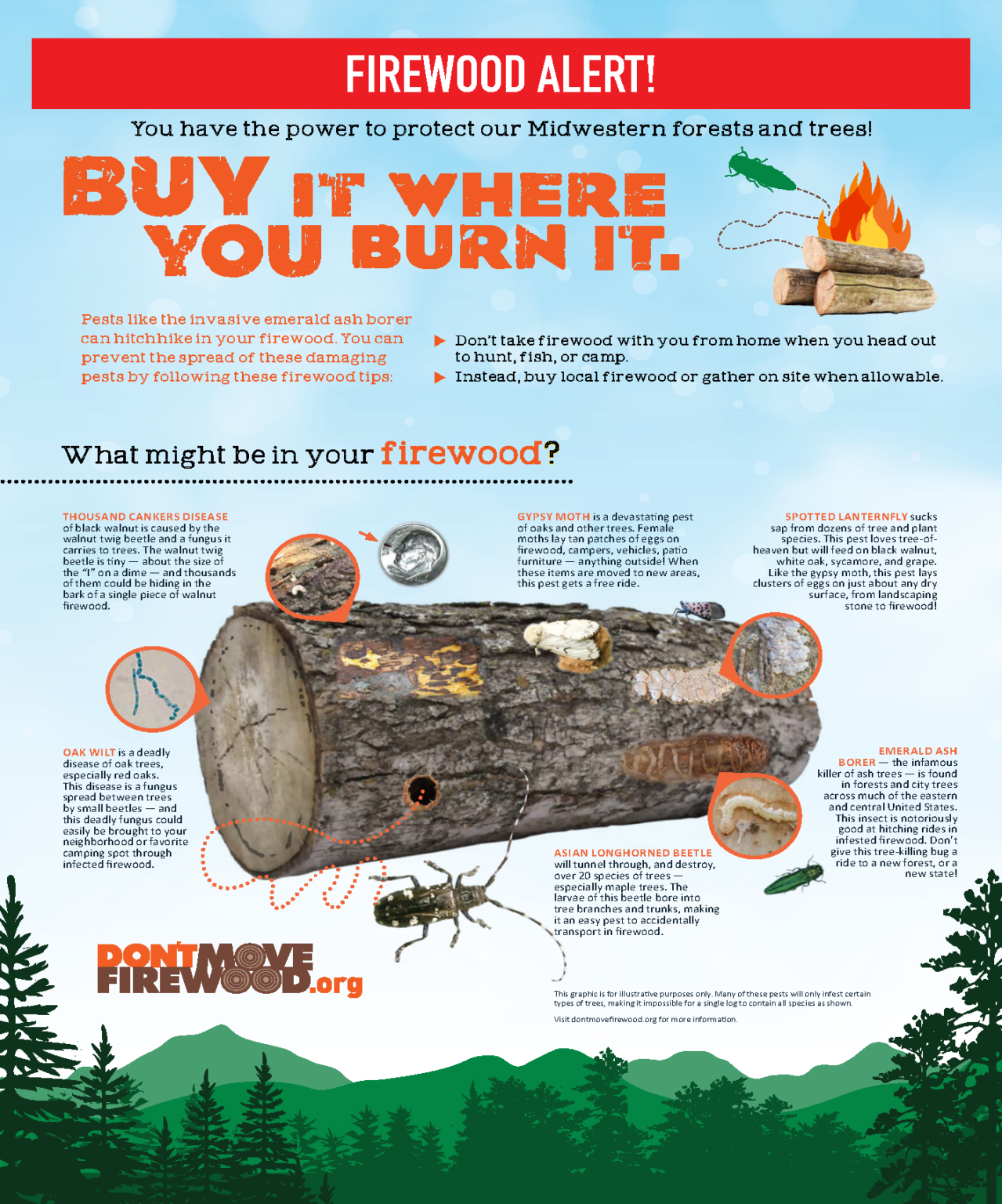 Don't Move Firewood advertisement 2020 Midwestern - Don't Move Firewood