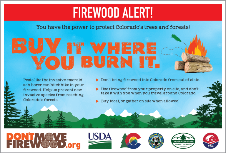 Don't Move Firewood advertisement 2020 Colorado - Don't Move Firewood