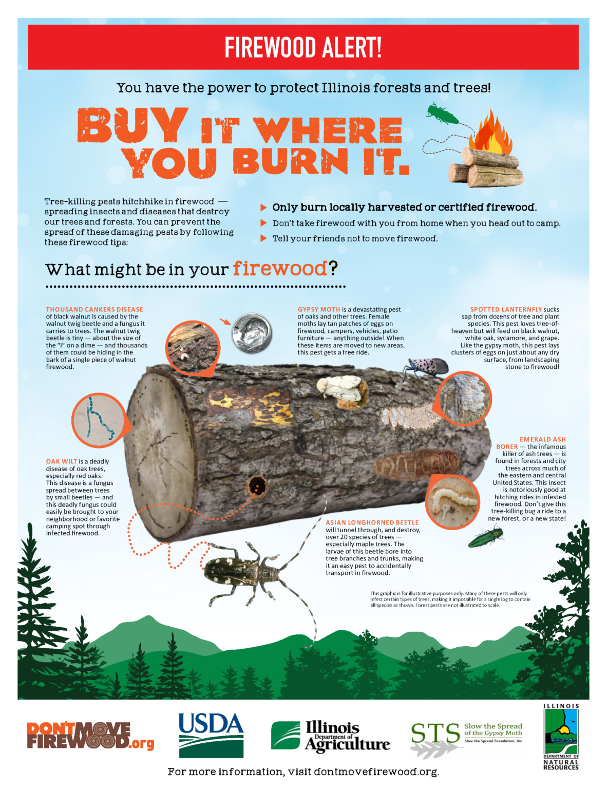Don't Move Firewood 2021 Illinois Flyer - Don't Move Firewood