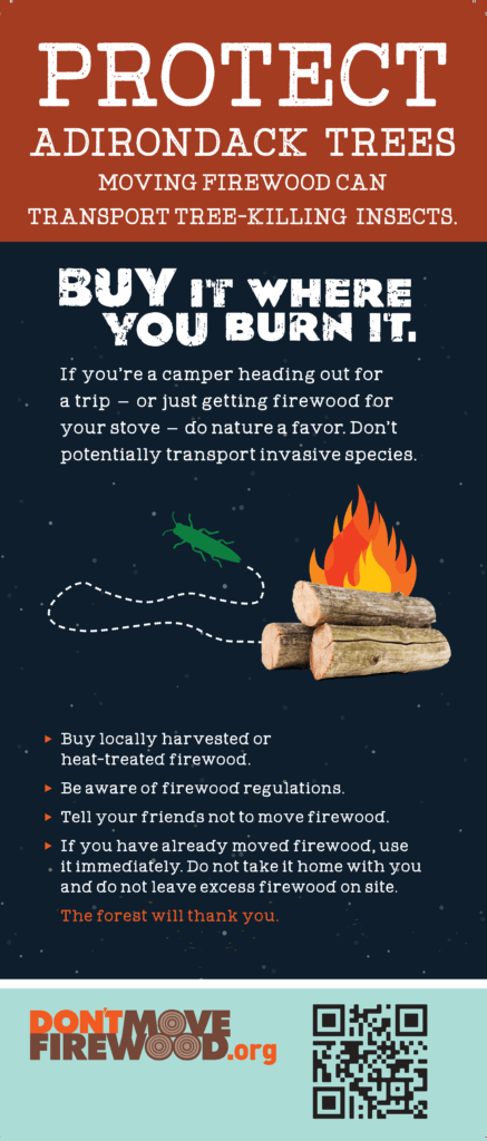 Resource Library - Don't Move Firewood