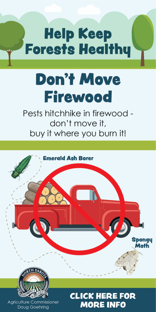 Resource Library - Don't Move Firewood