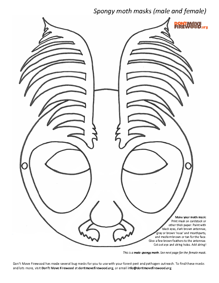 Spongy Moth Masks - Don't Move Firewood