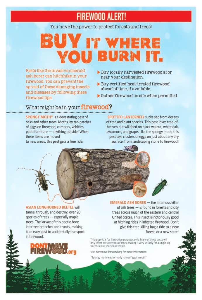 DON’T MOVE FIREWOOD 2022 LOG AND PESTS ADVERTISEMENT FULL PAGE - Don't ...