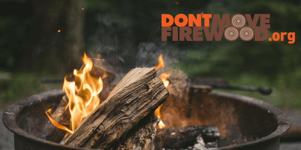 Don't Move Firewood (fire pit) Banner Logo - Don't Move Firewood
