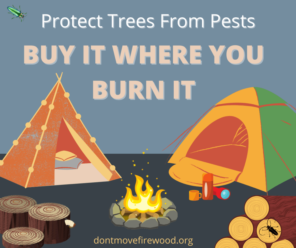 Resource Library - Don't Move Firewood