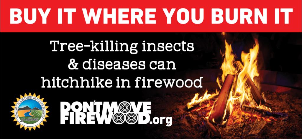 Buy It Where You Burn It 2024 South Dakota Billboard - Don't Move Firewood