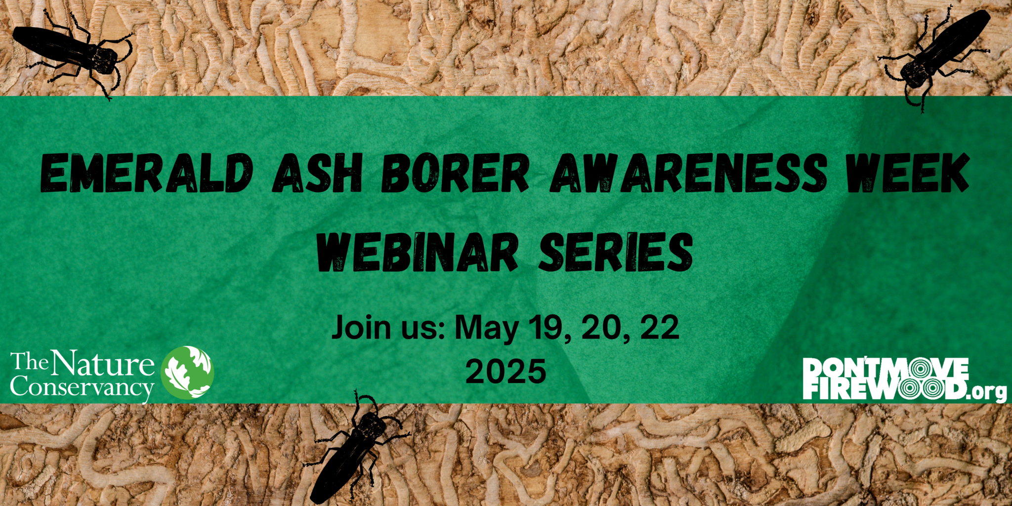 Emerald Ash Borer Awareness Week 2025 WEBINAR SERIES - Don't Move Firewood
