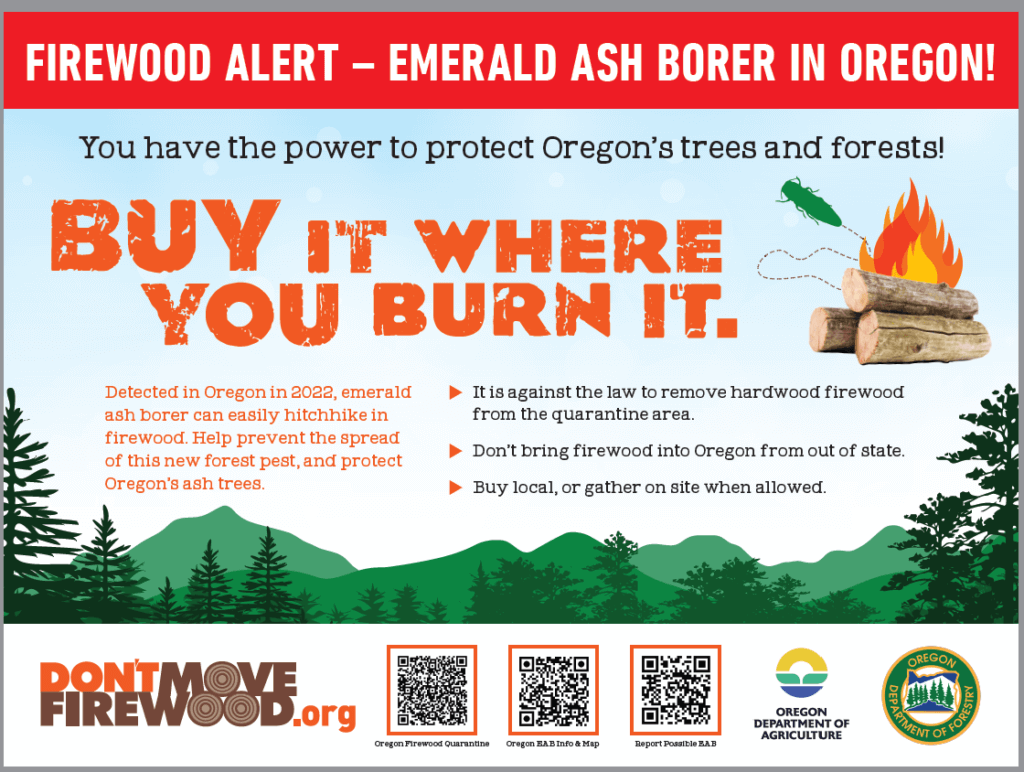 Resource Library - Don't Move Firewood